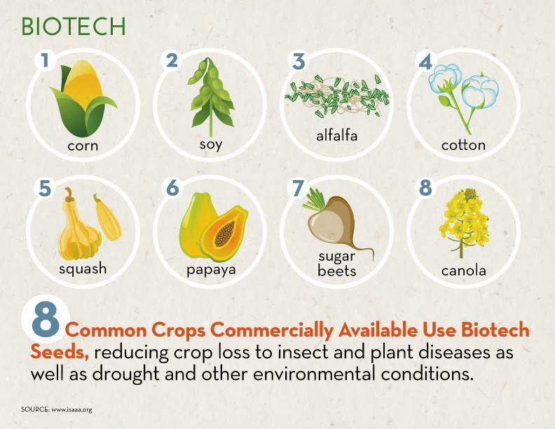 8 Most Common Biotech Foods - The Farmer's Daughter USA