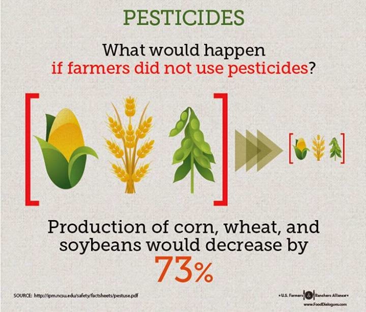 What Happens Without Pesticides? - The Farmer's Daughter USA