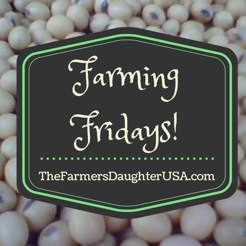 Farming Fridays! - The Farmer's Daughter USA